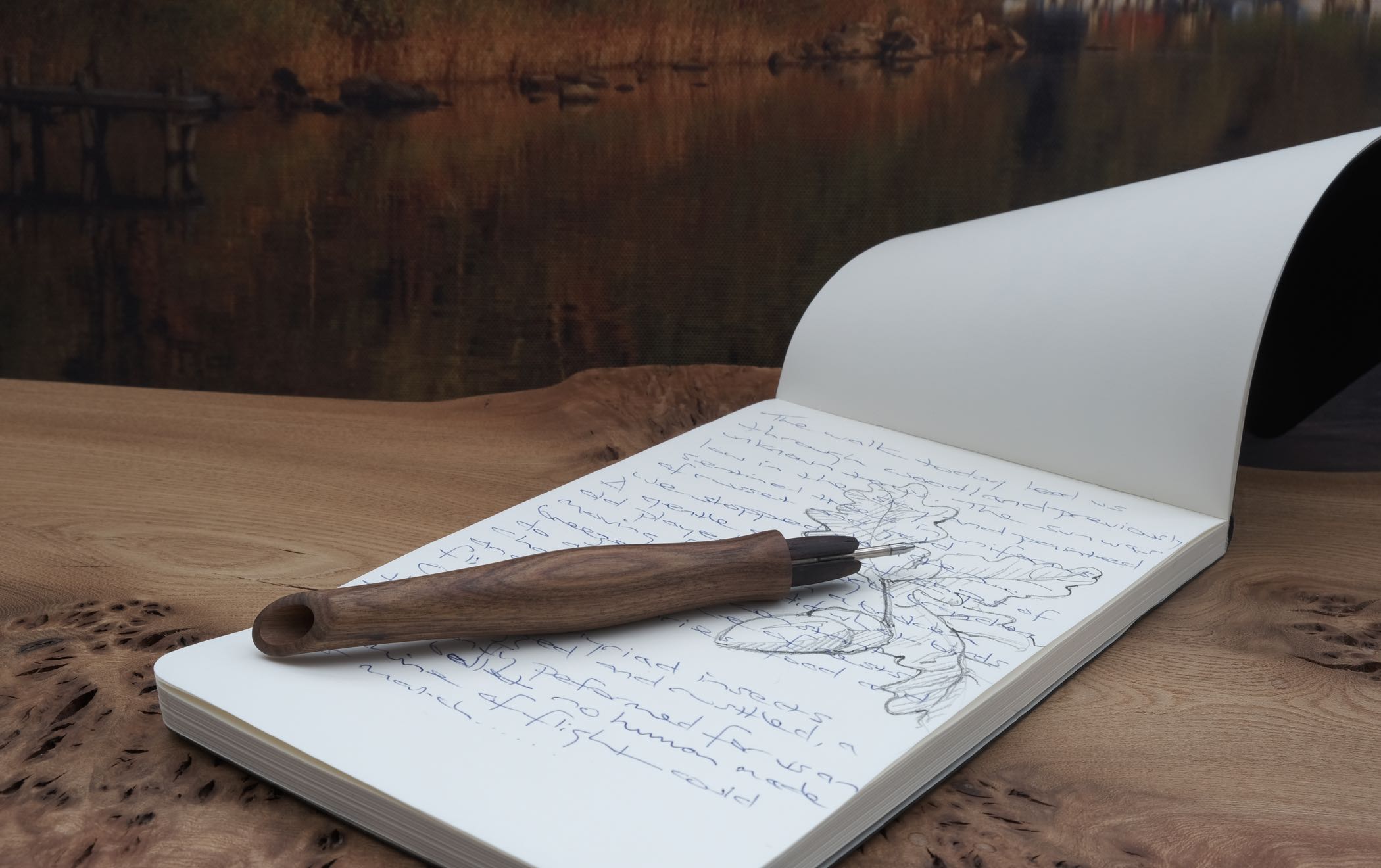 The-Artist-Writer-an-author's-companion